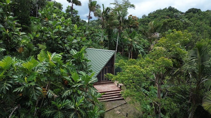 Farm Stay: Design Tiny House “La Casa De Geroz” - Cayey