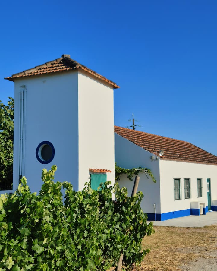 Casa Da Figueira @Quinta Nova Da Machoca - Évora
