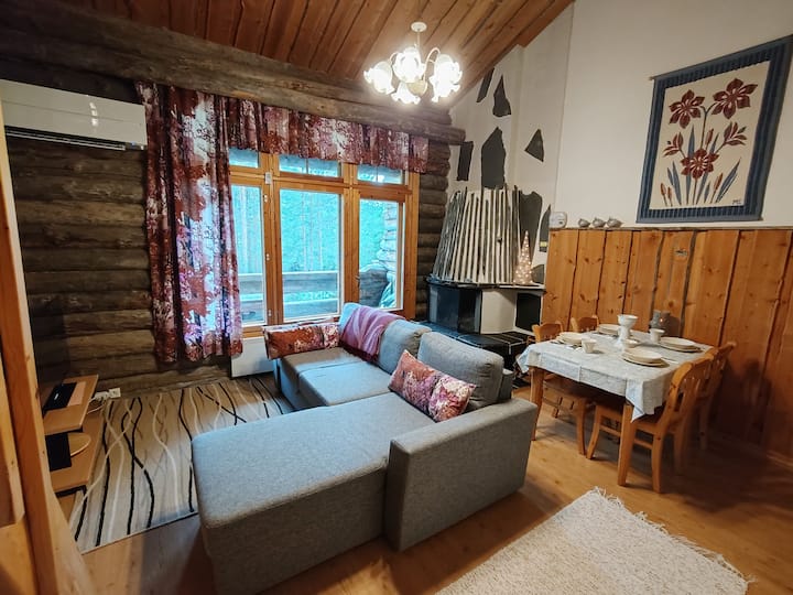 Home With Mountain Sceneries - Lappi