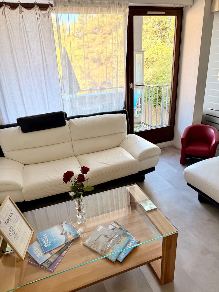 Chambre Double, Salle De Bain - 阿訥西