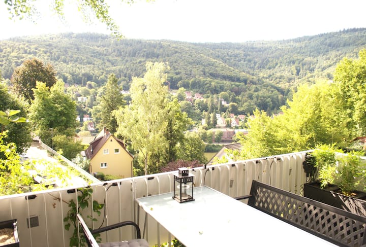 Wohnung In Heidelberg Mit Neckarblick - Heidelberg