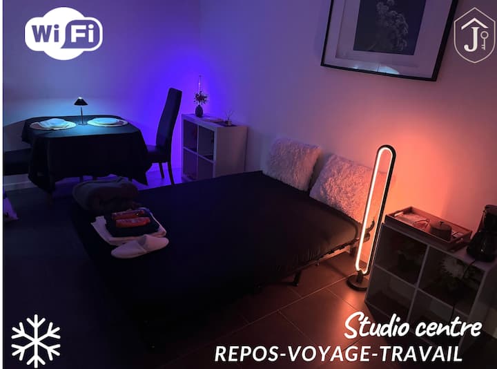 Studio Central Pour Le Travail Et Les Voyages - Mulhouse