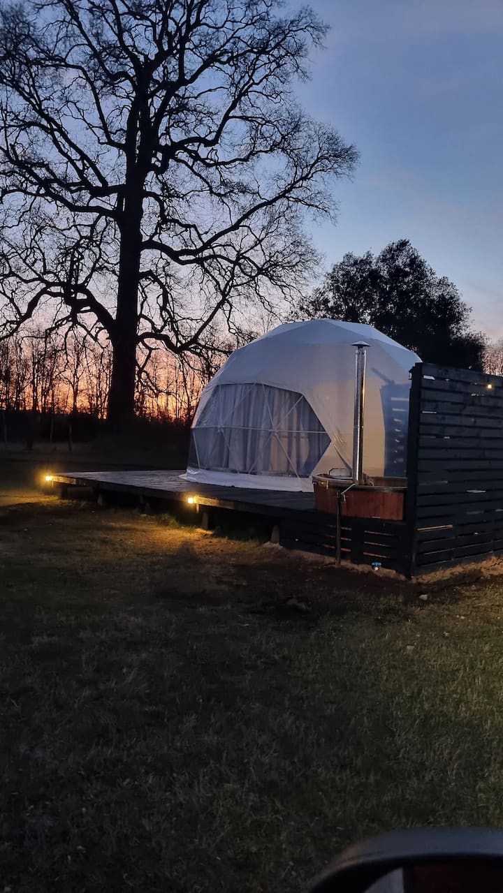 Domo Loica - Curacautin