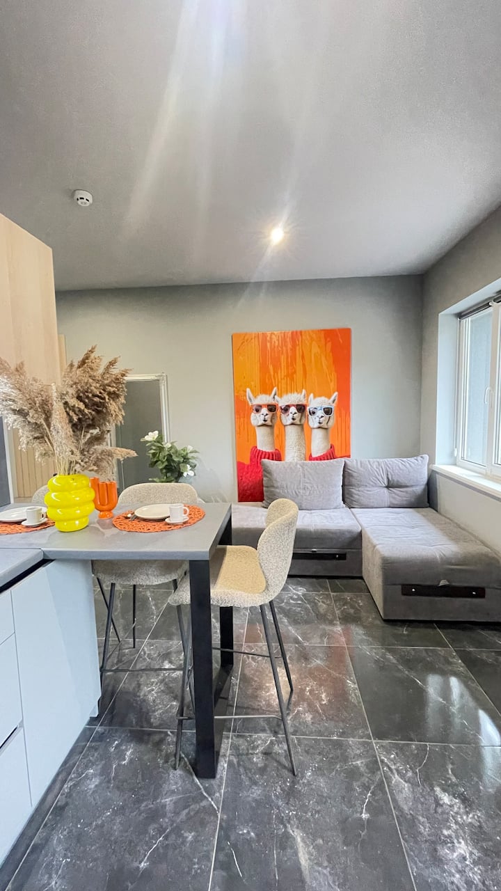 Сімейні апартаменти дворівневий - Chernivtsi