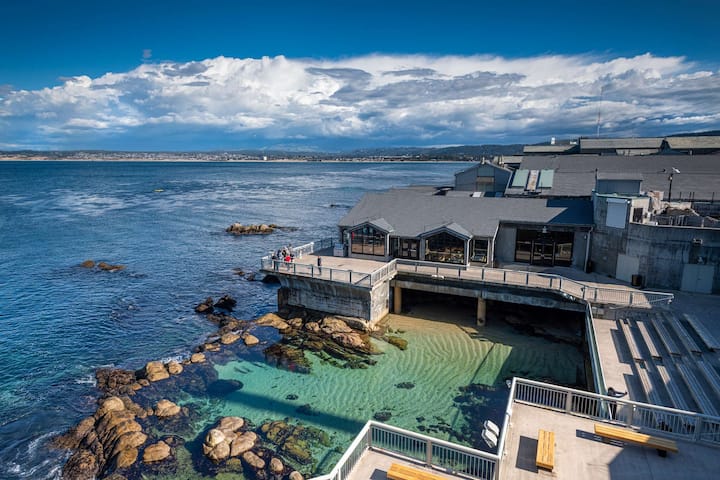 Luxurious Palace Stay For Royals - Marina, CA