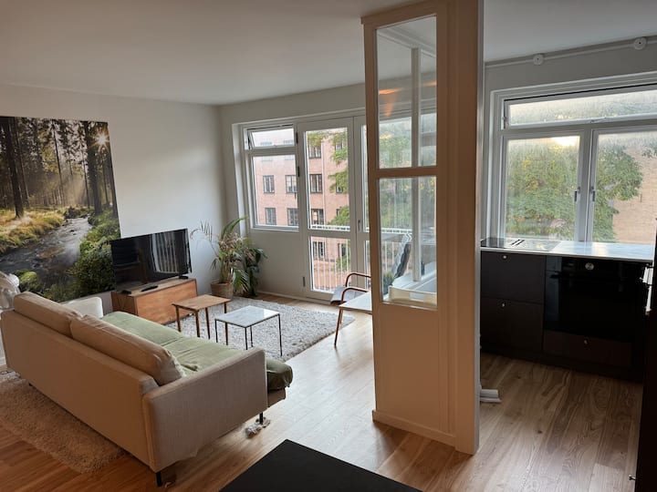 Lys Lejlighed I Købehavn City - Copenhague