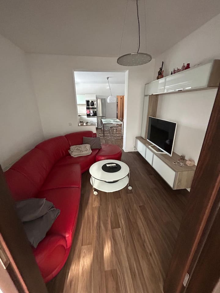 Světlý Prostorný Byt - Pilsen