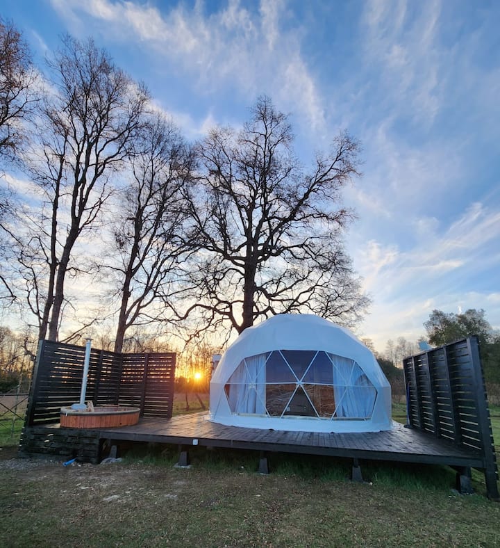 Domo Bandurria - Curacautin