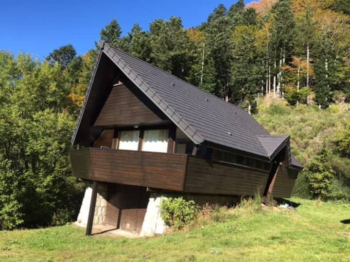 Chalet Au Pied Des Pistes - Mont-Dore