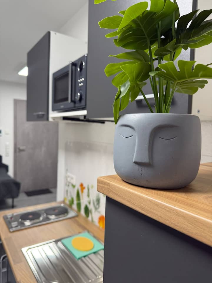 Ruhige Apartments An Der Donau - Neubau - Ehingen