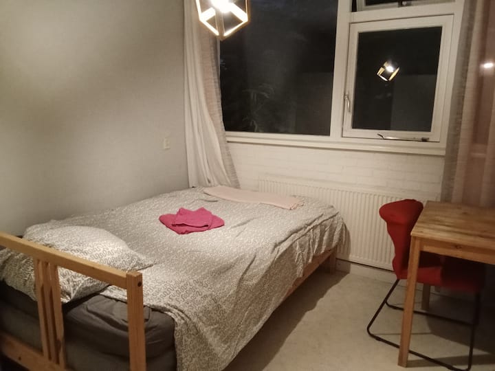 Room Close To Wur - Wageningen