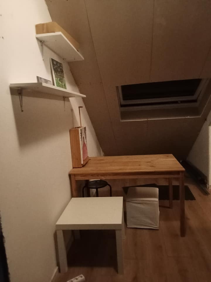 Attick Room Close To Wur - Wageningen