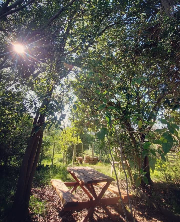 El Albergue - Cerro Largo Department