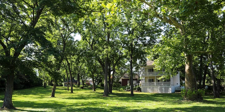 Luxury Cottage, Garden View - Pocomoke State Forest, Snow Hill