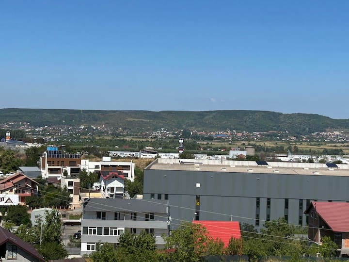Arena Pitești Flat - Bradu
