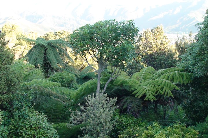 Perfect For Nature Lovers - Lower Hutt