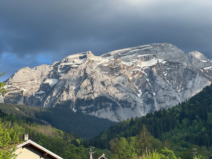 Chalet Dans Cadre Bucolique - Bonneville