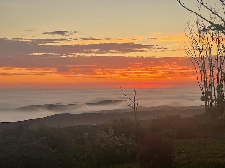Lansdowne - Knysna