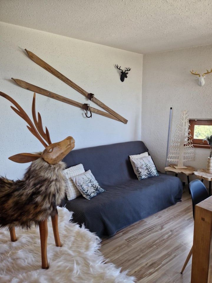 Centre Station, Front De Neige - Saint-Sorlin-d'Arves