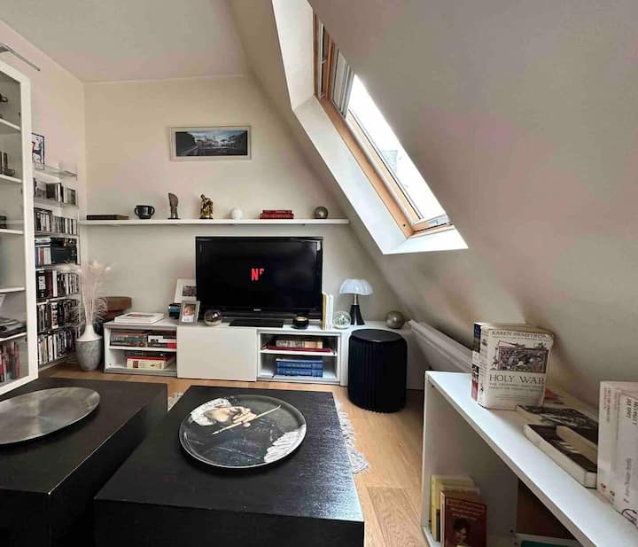 Parisian Flat By Champs-elysées - ibis Styles Paris Montmartre Nord