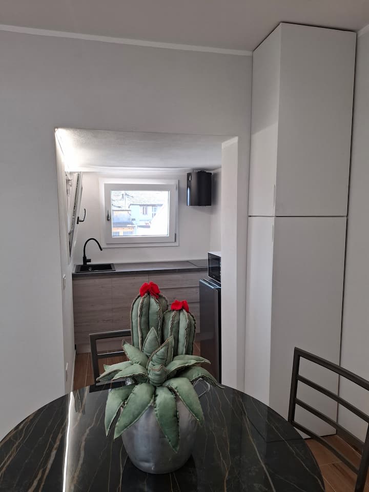 Spazioso Bilocale Con Giardino: Gamma - Piacenza