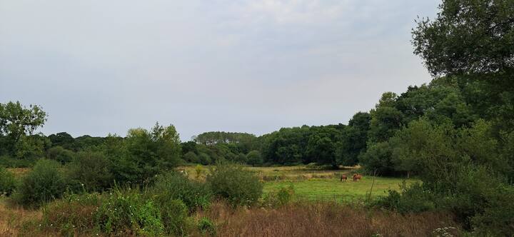 Mobilehome Au Coeur De La Nature - Pléneuf-Val-André