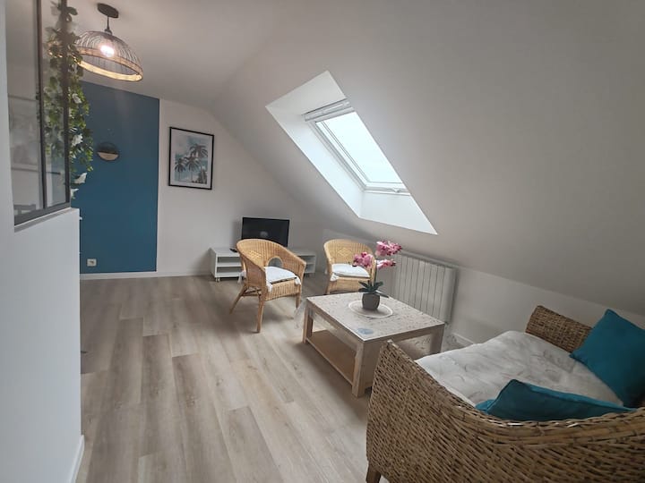 Cjk-appartement Rénové Sur La Côte Bretonne - Plougonvelin