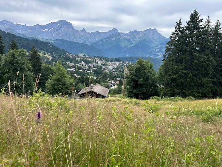 Chalet D'alpage - Leysin