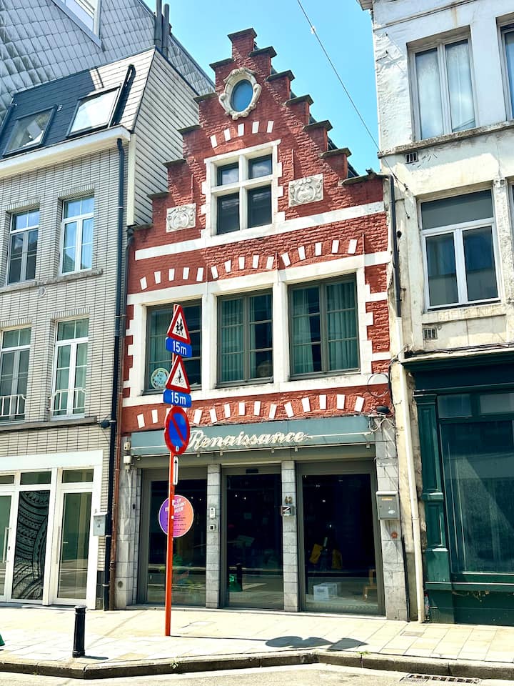 Spacious & Unique Heritage Stay With Cute Cat - Gent