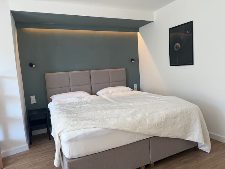Zentrales Appartement Mit Terrasse - Hildesheim