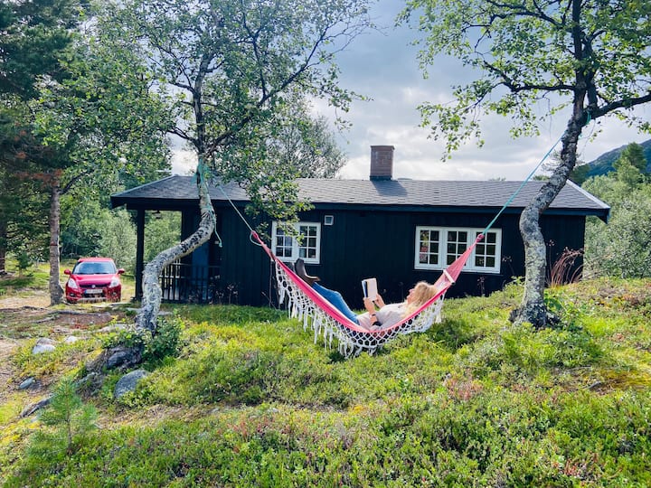 Navarhaugen - Oppdal