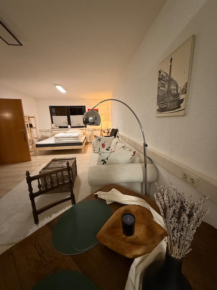 Schöne Wohnung Mit Kamin&garten - Saarbrücken