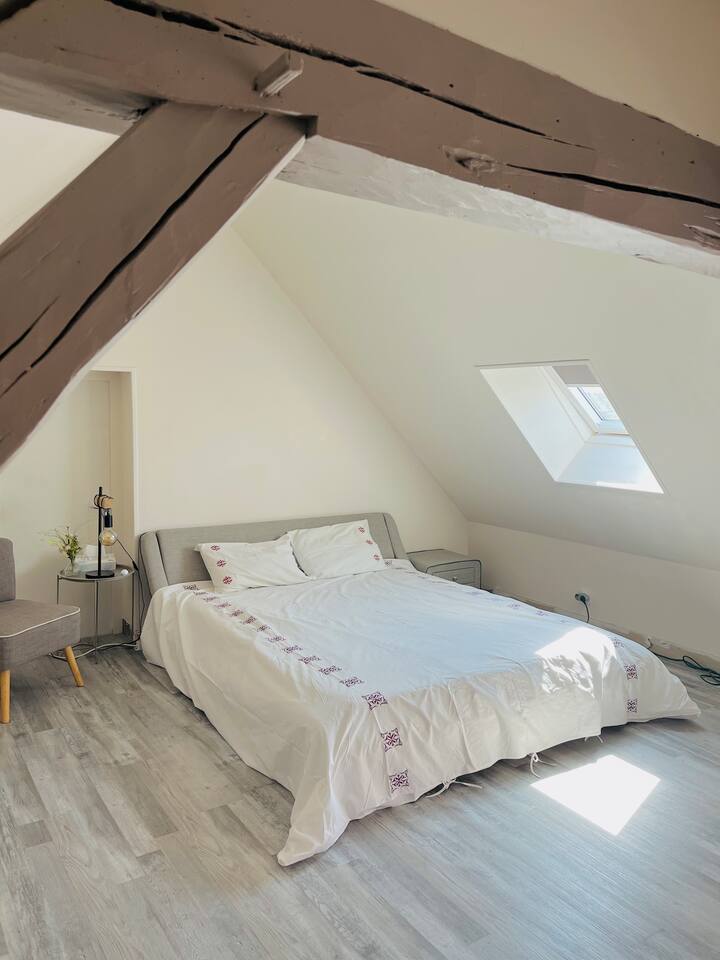 Chambre D'hôtes à Selles S/cher Proche Beauval - Selles-sur-Cher