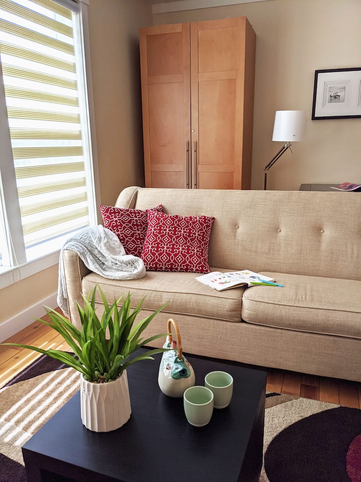 One/two Br Near Mit/harvard - Cambridge, MA