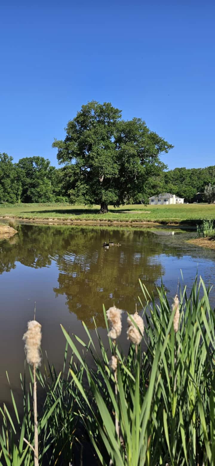 Two Oaks Retreat - Wimborne Minster