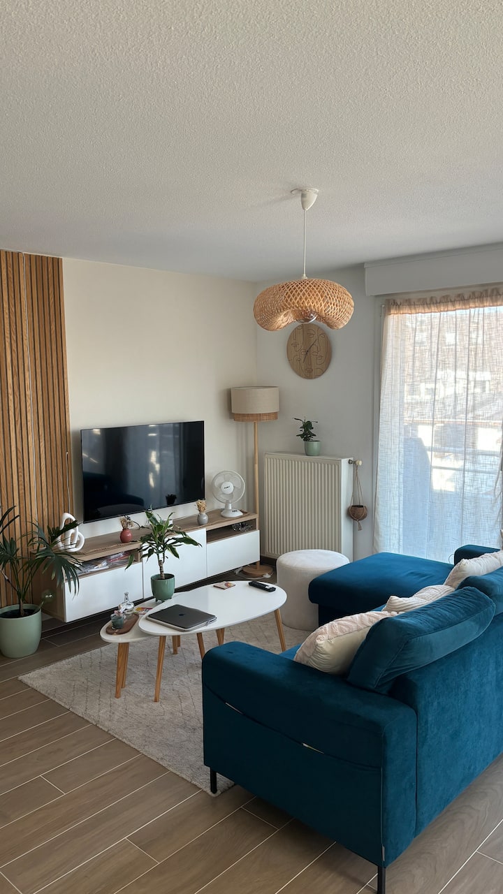 Appartement F3 Meublé Et Rénové - Weil am Rhein