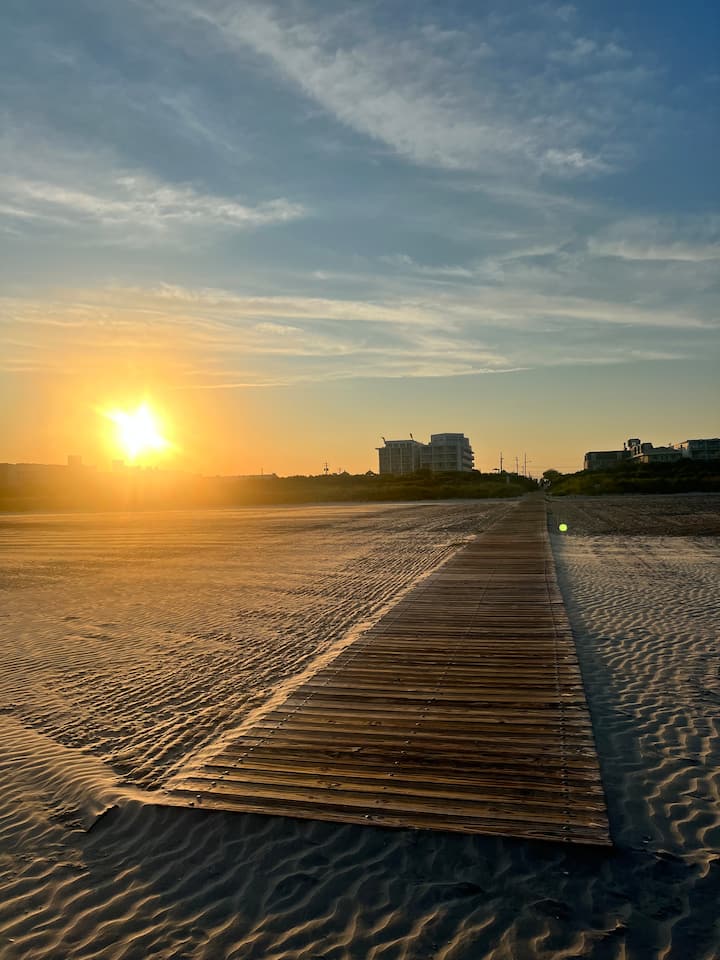 Seagull Paradise - Stone Harbor, NJ