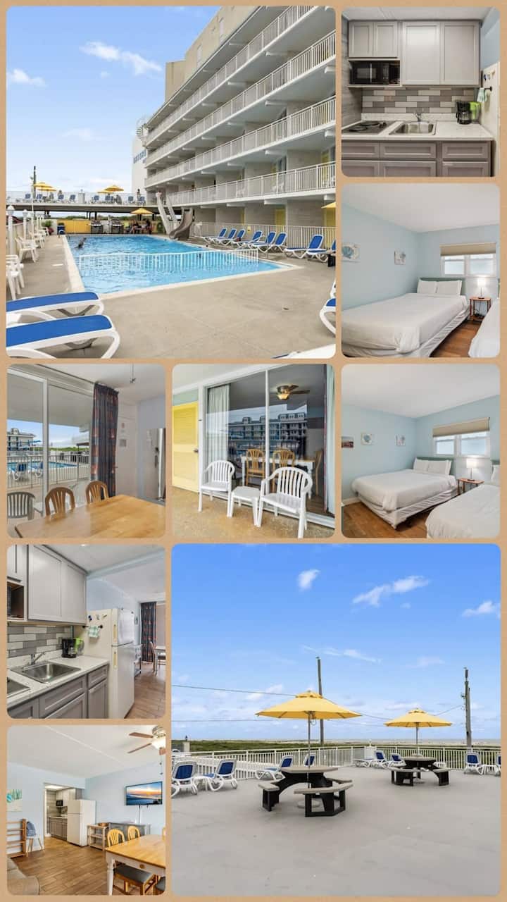 Seagull Paradise - Wildwood, NJ