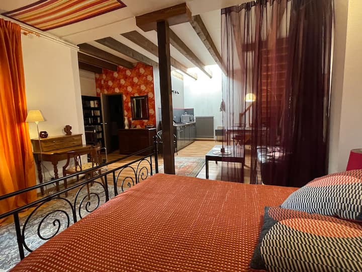 Charmant 2 Pièces Près Wacken, Vieux Schiltigheim - Schiltigheim