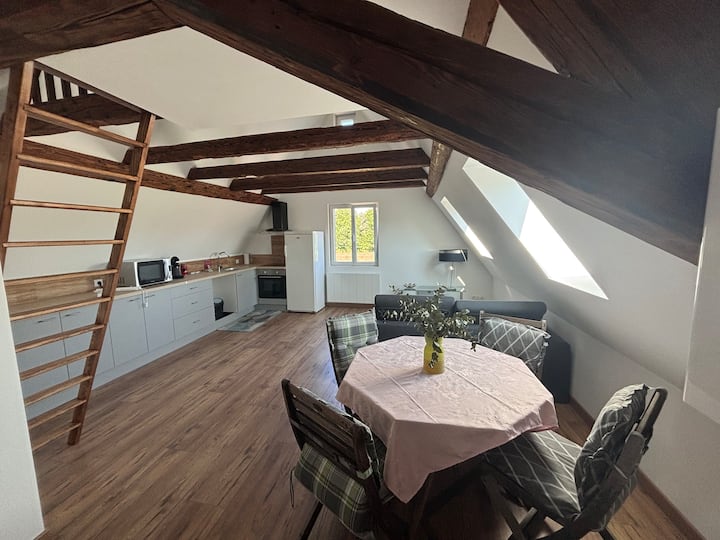 Appartement Cosy Avec Mezzanine - Rosheim