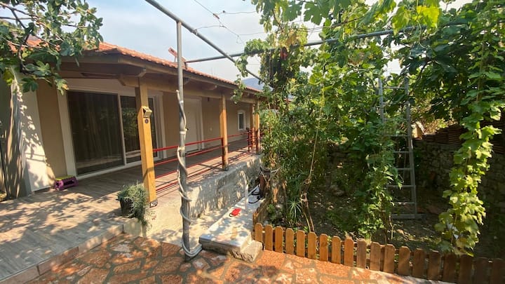 Traditional House In Piqeras - Piqeras