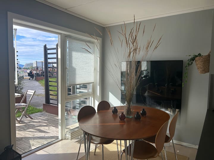 Koselig Leilighet Med Takterrasse Ved Solsiden - Trondheim