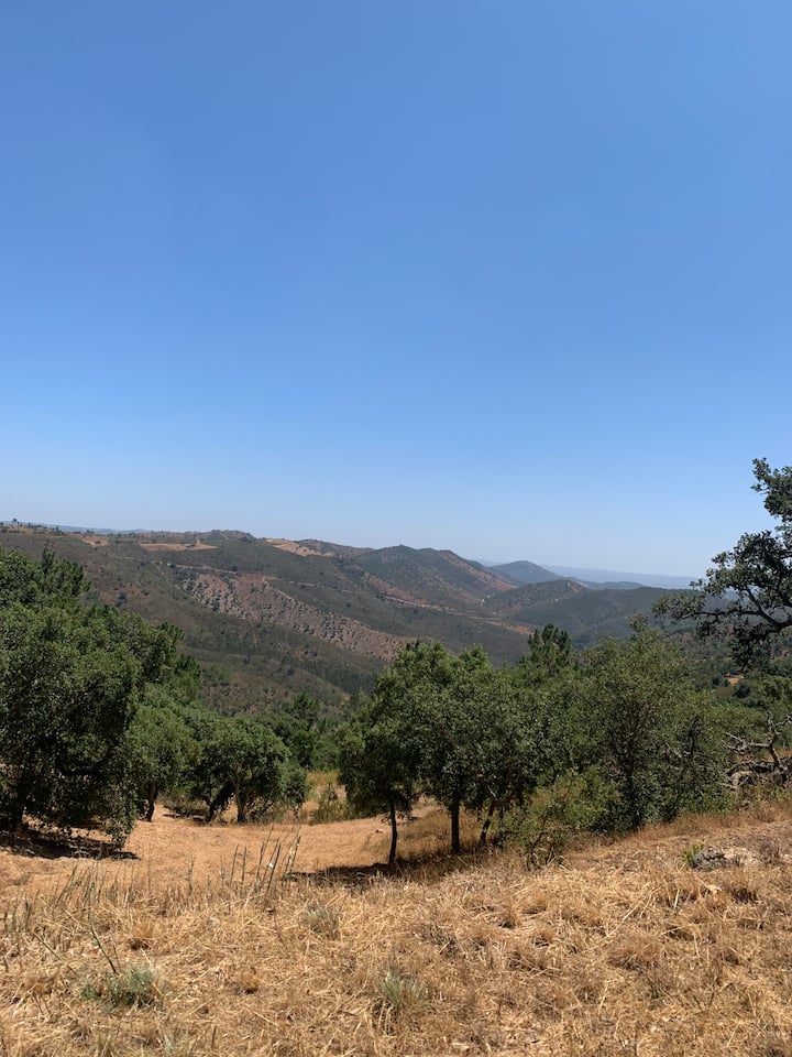 Roots Of Tomorrow Camping - Almodôvar