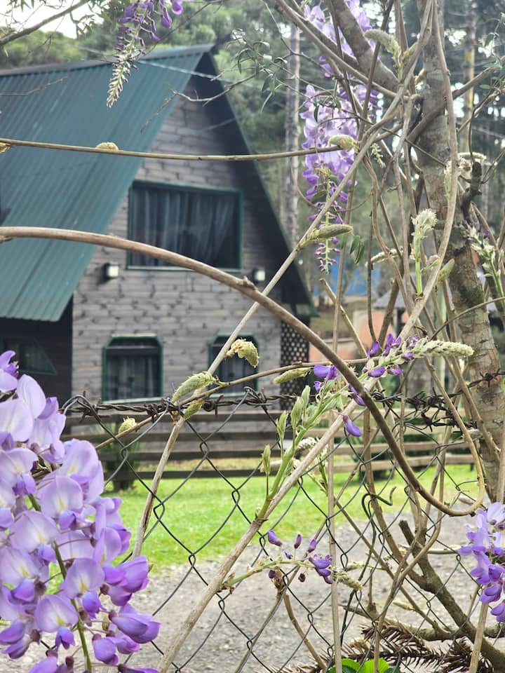Fursthaus
Chalé Com Banheira - Campo Alegre