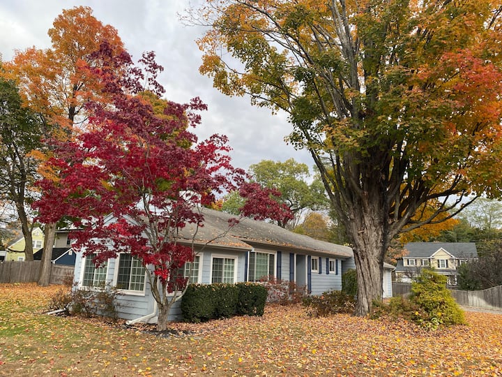 Spacious 3bd Ranch With Fenced-in Yard - Framingham, MA
