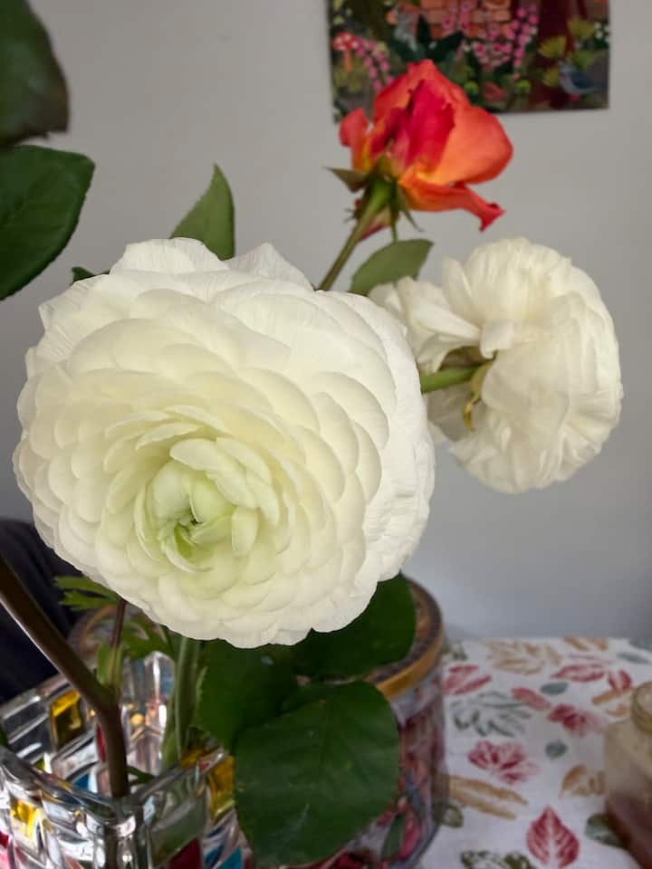 Beach House - Jensen Beach, FL