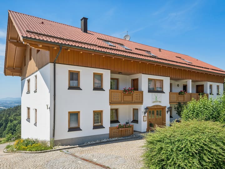 Appartement Lumineux Dans La Forêt Bavaroise - Waldkirchen