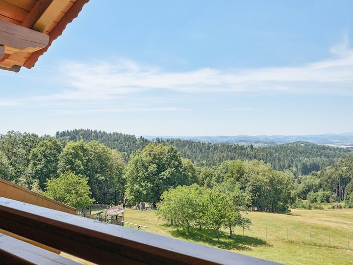 Appartement Calme Dans La Forêt Bavaroise - Waldkirchen