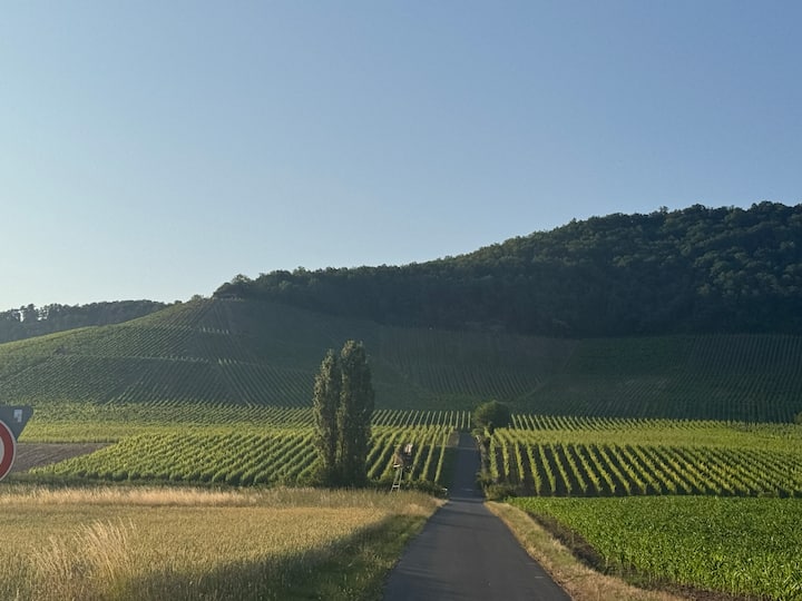 Horizont 360 ° - Iphofen
