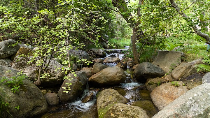 Private River Retreat • 3br In Tall Cedars & Pines - Wawona, CA